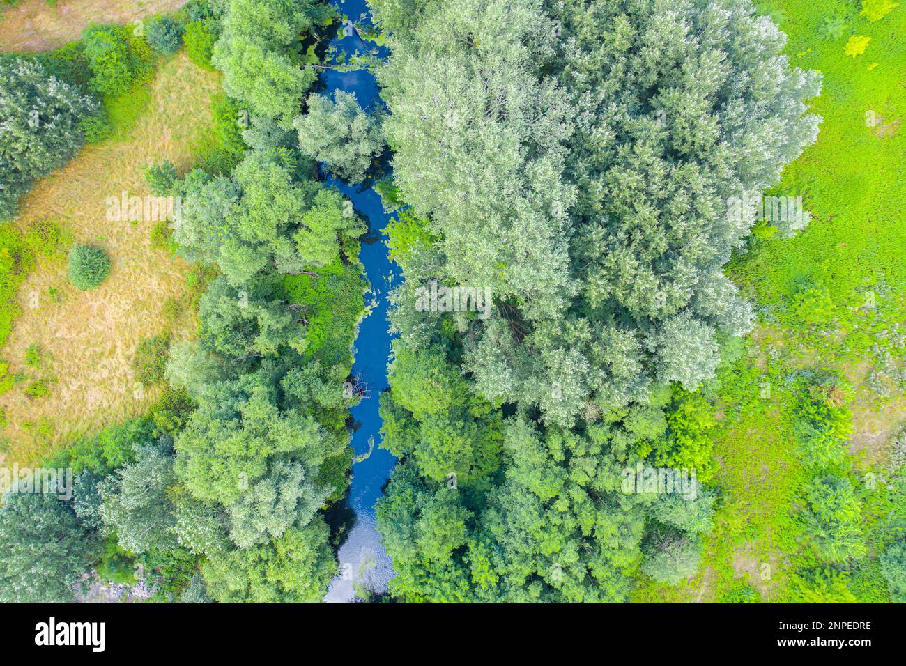 Top down view on exotic winding river flows through green wetlands. Birds eye view of zig-zag ...