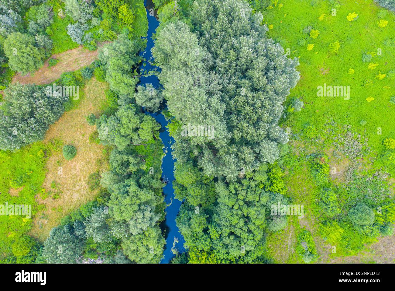 Top down view on exotic winding river flows through green wetlands ...