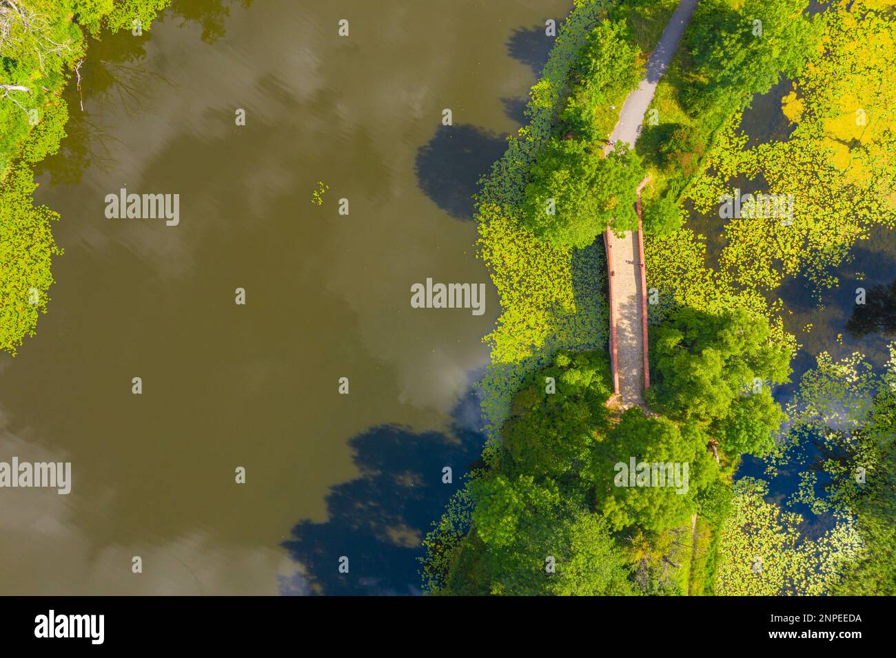 Top down view on exotic winding river flows through green wetlands ...