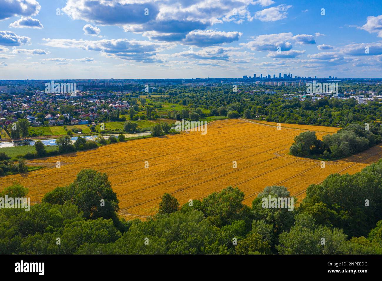 Top down view on exotic winding river flows through green wetlands ...