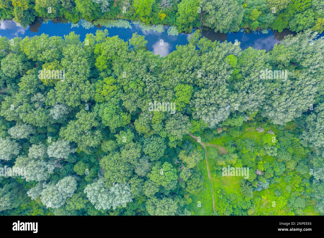 Top down view on exotic winding river flows through green wetlands ...