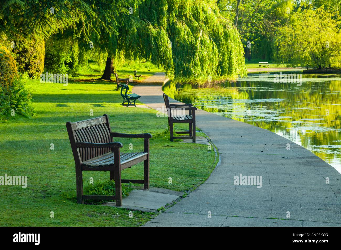 Spring morning at Rowntree Park in York Stock Photo - Alamy