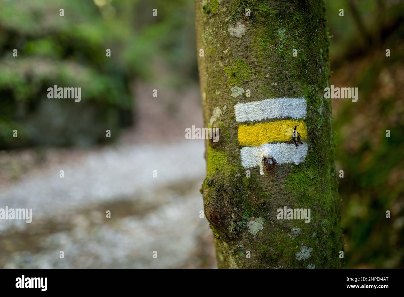 Yellow hiking trail sign on a tree along the trail in the Slovak ...