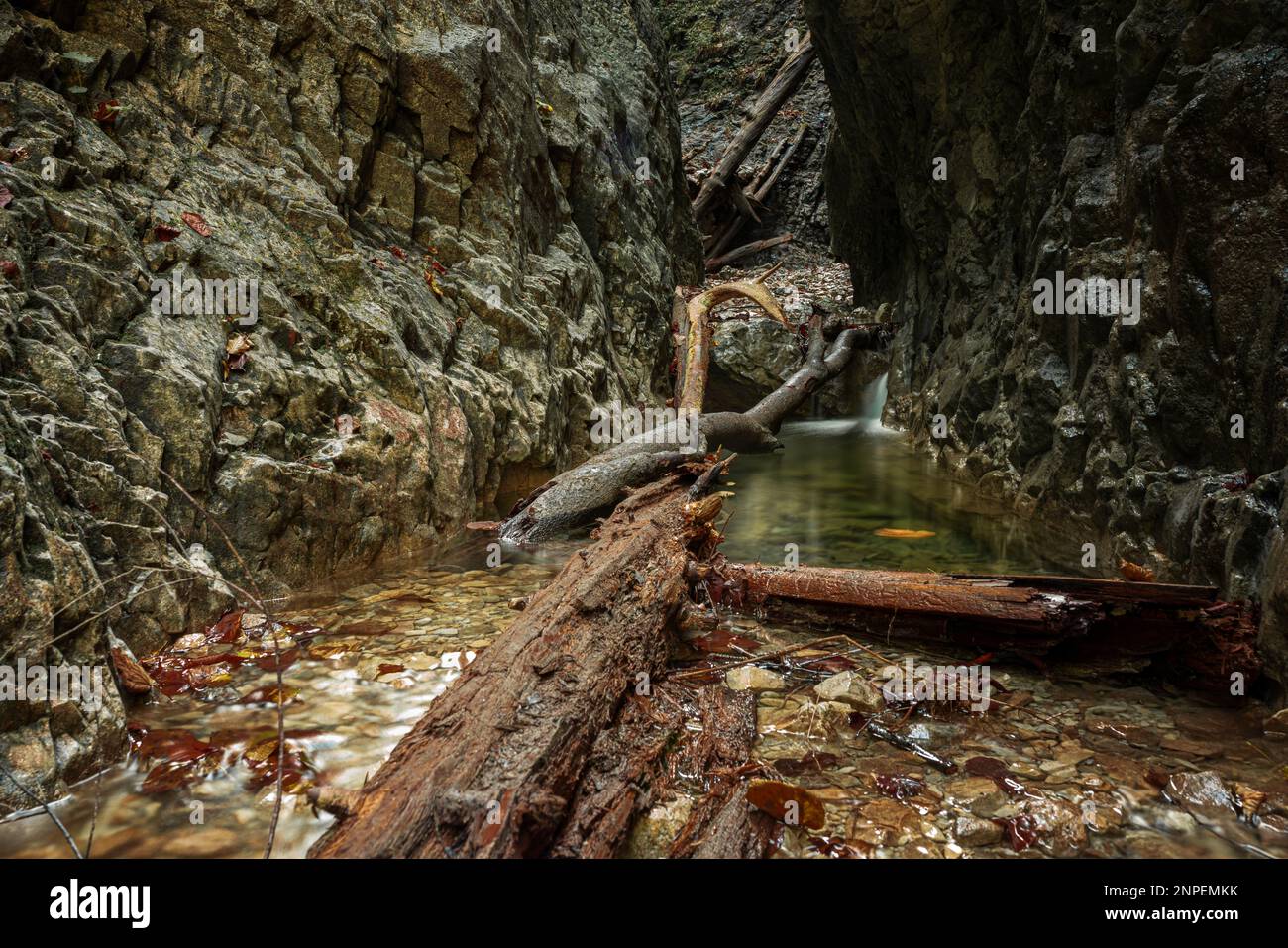 Beautiful gorge with water and trees in the water in the Slovak ...