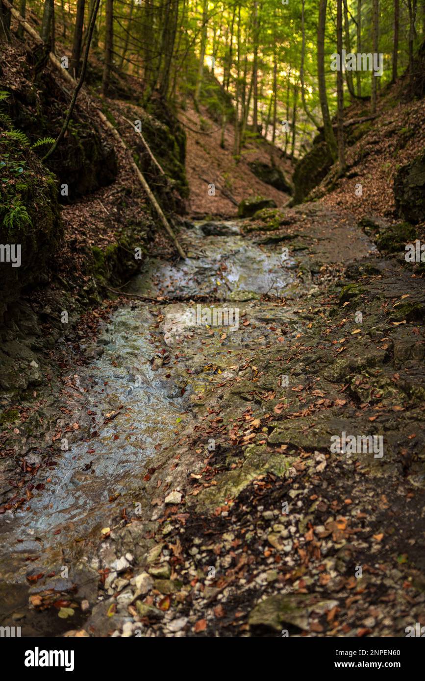 The trail through the beautiful canyon of the Slowacki Raj National ...