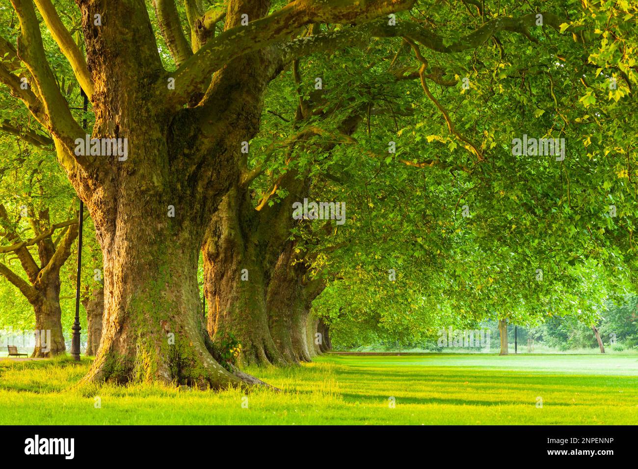 Jesus green park in cambridge hi-res stock photography and images - Alamy