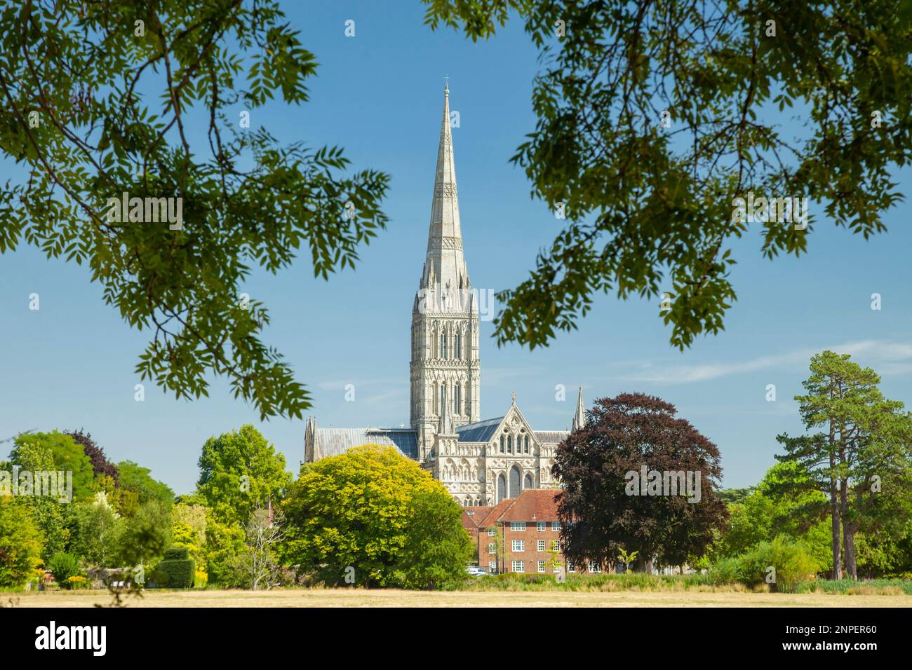Salisbury Cathedral seen across Harnham Water Meadows on a summer ...