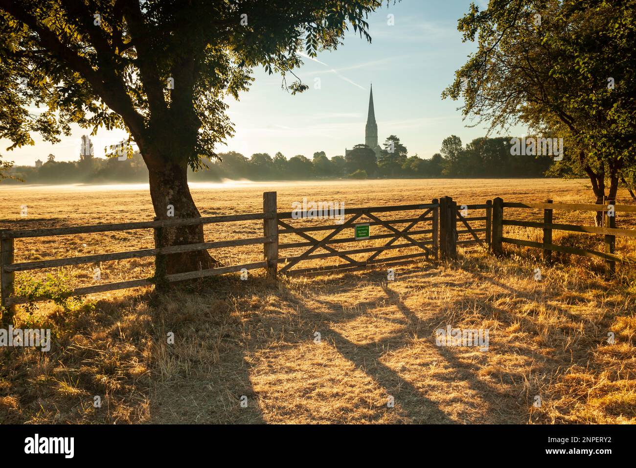 Salisbury Cathedral seen across Harnham Water Meadows on a summer ...