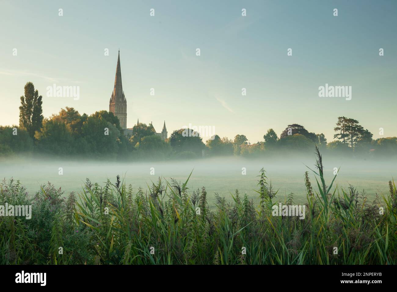 Salisbury Cathedral seen across Harnham Water Meadows on a summer ...