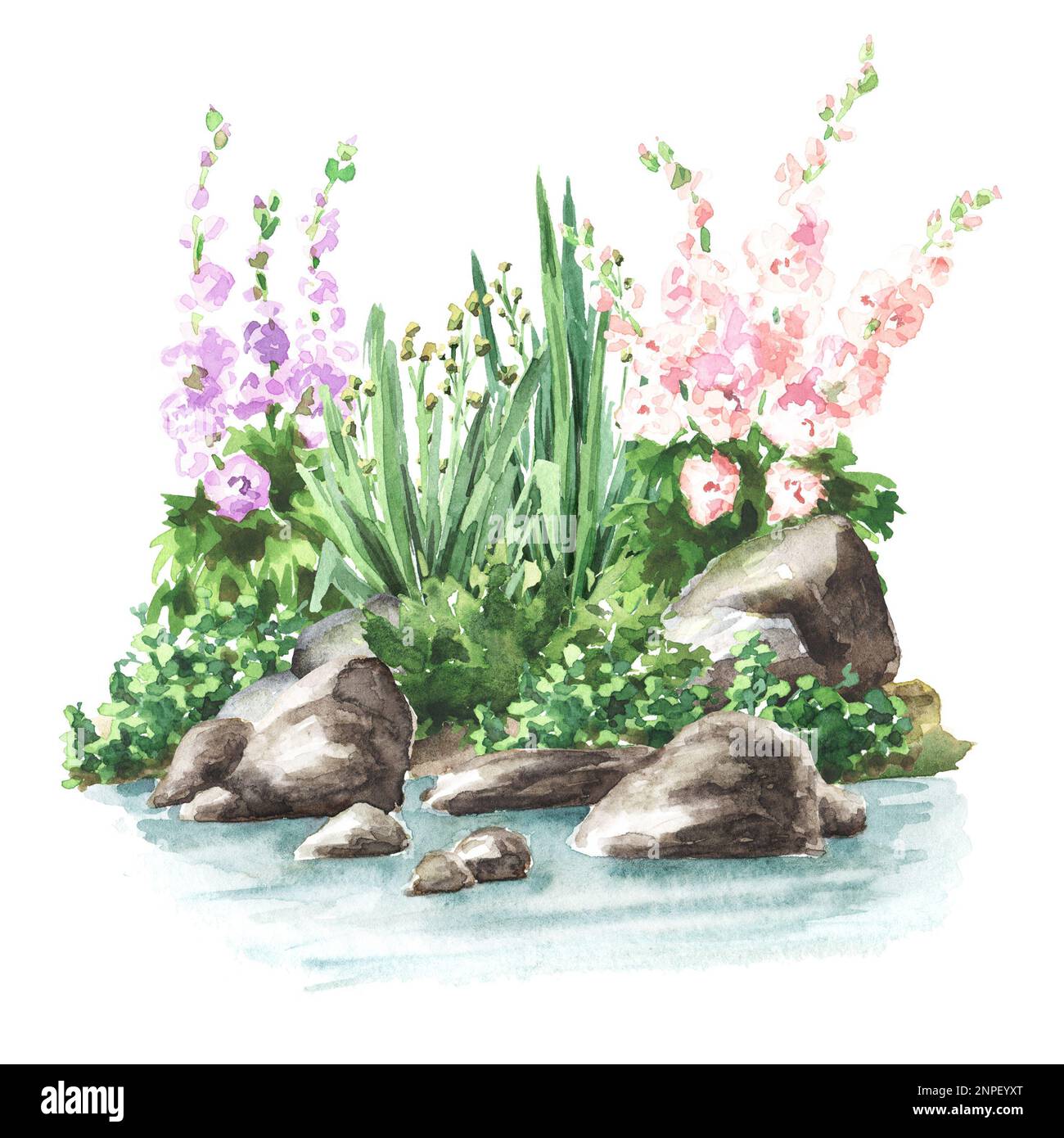 Garden Decorative pond shore, Landscape design element. Hand drawn ...