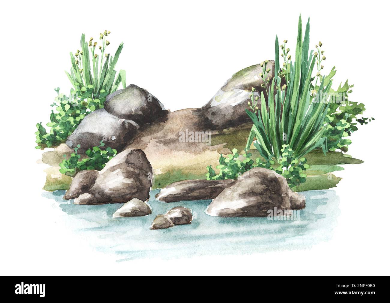 Garden Decorative pond shore, Landscape design element. Hand drawn ...