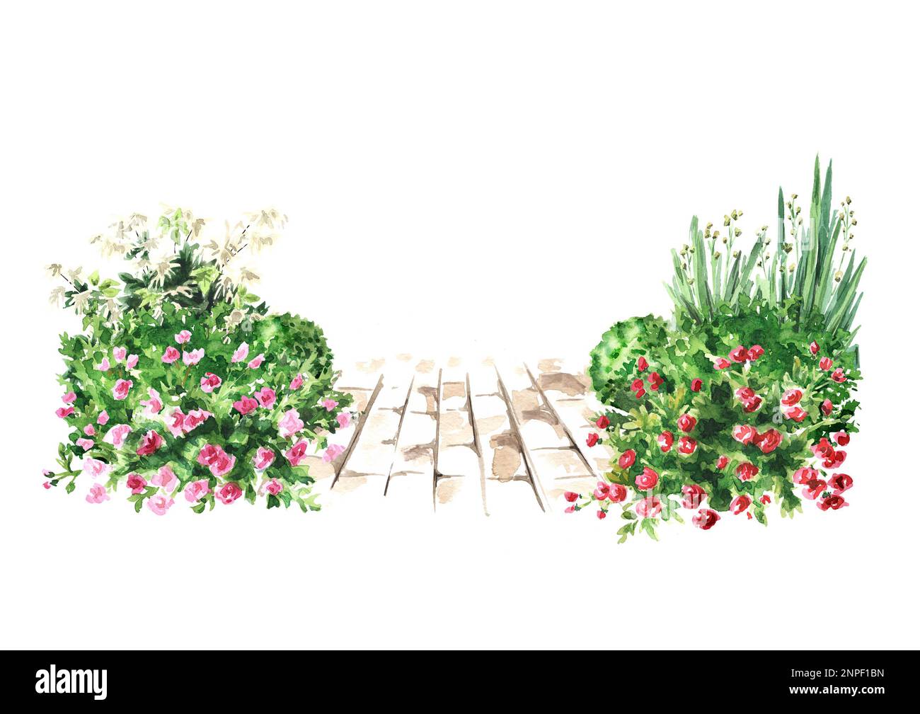 Garden flower bed and walking path, Landscape design . Hand drawn ...