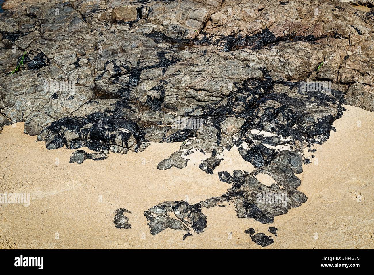 Salvador, Bahia, Brazil - October 27, 2019: Rocks on Rio Vermelho beach ...