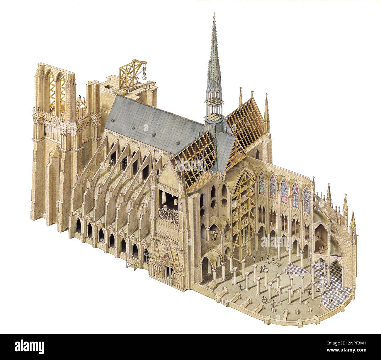 Infographic of the structure of the gothic cathedral and the process of ...