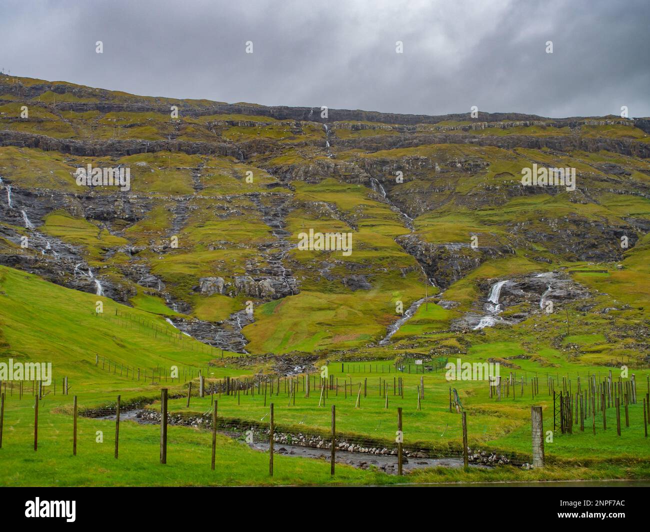 Tjørnuvík, Faroe Islands - Sep 2020: Dozens of small rivulets flowing ...
