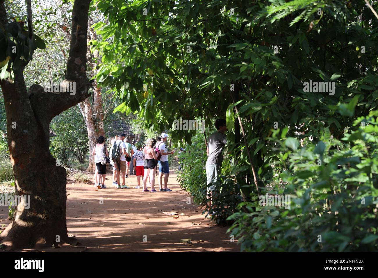 Zanzibar, Tanzania. 24th Feb, 2023. Tourists visit a spice farm in ... Zanzibar, Tanzania. 24th Feb, 2023. Tourists visit a spice farm in ...