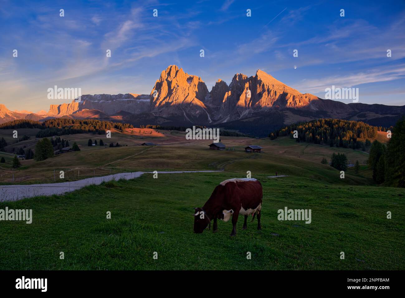 Seiser Alm (Italian: Alpe di Siusi, Ladin: Mont Sëuc) is a Dolomite ...