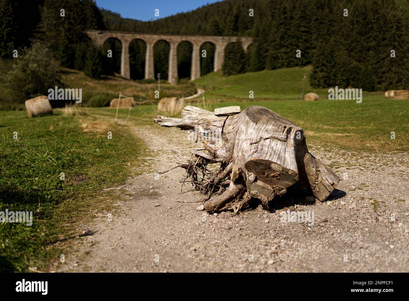 Chmarossky viaduct, old railroad, Telgart, Slovakia Stock Photo - Alamy