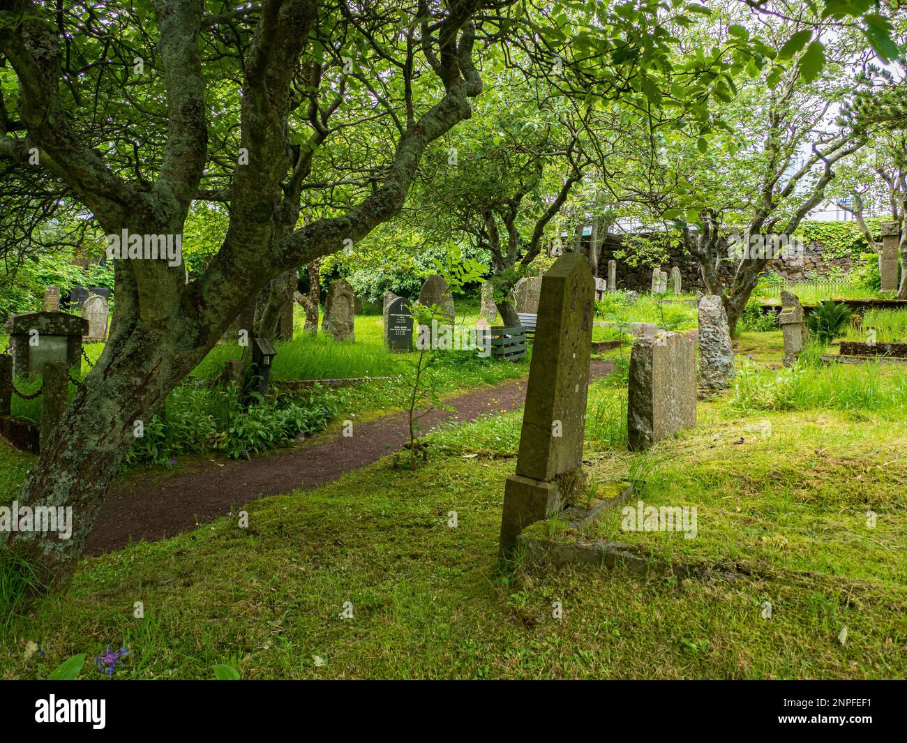 Tórshavn, Faroe Islands - July 2021: Old, historic cemetery amidst ...