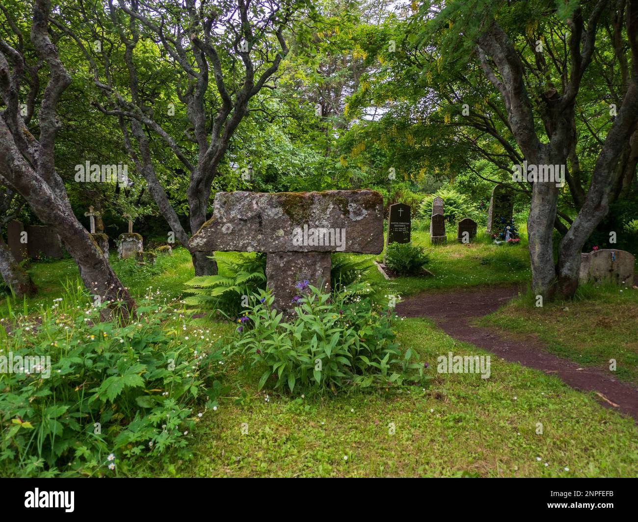 Tórshavn, Faroe Islands - July 2021: Old, historic cemetery amidst ...