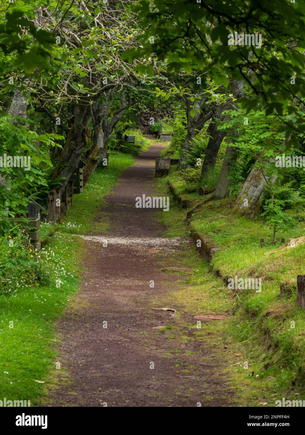 Tórshavn, Faroe Islands - July 2021: Old, historic cemetery amidst ...