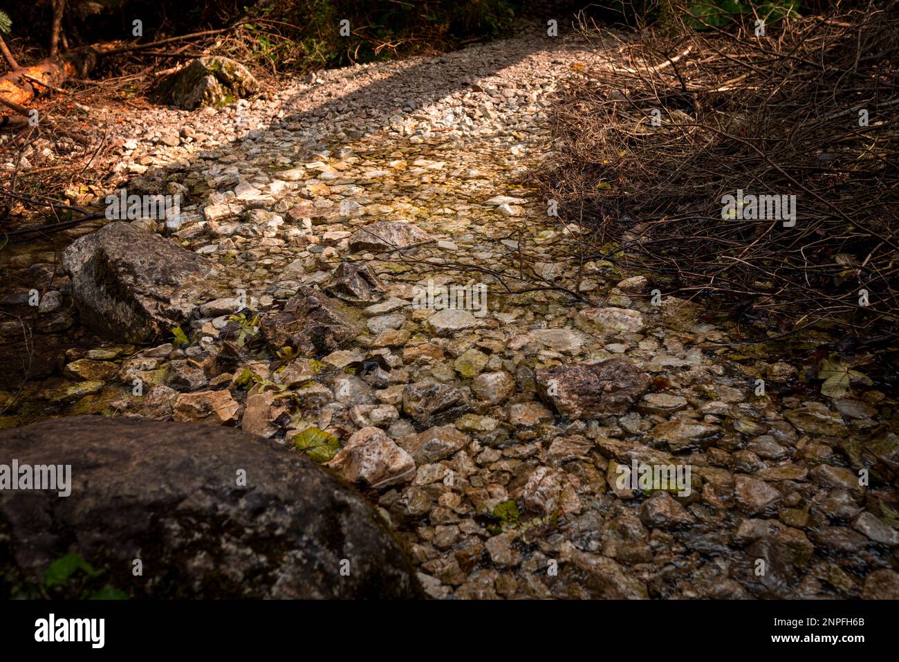 The trail through the beautiful canyon of the Slowacki Raj National ...