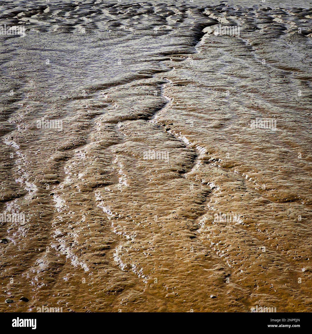 Tide out on mud flats hi-res stock photography and images - Alamy