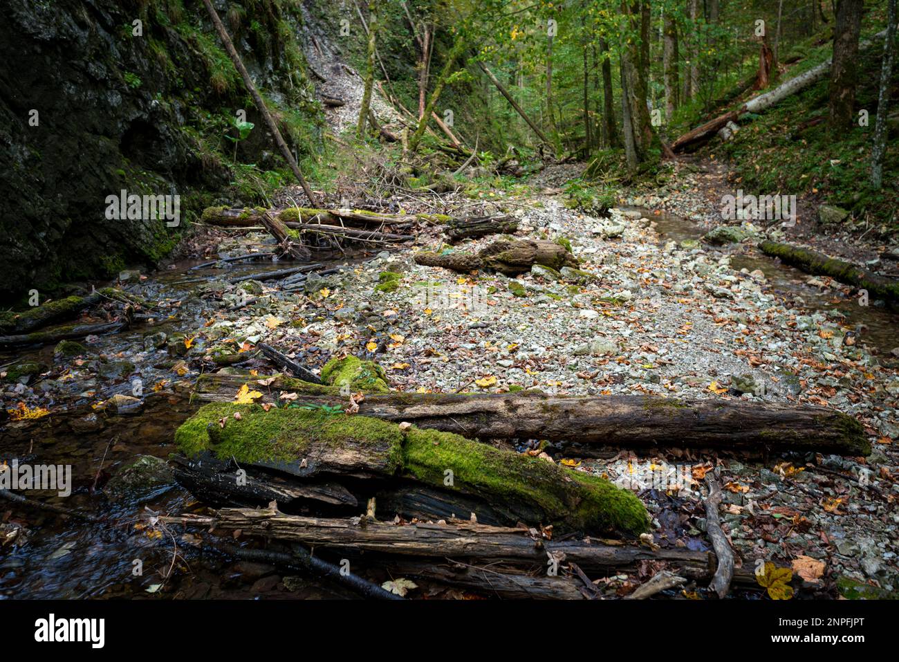 The trail through the beautiful canyon of the Slowacki Raj National ...