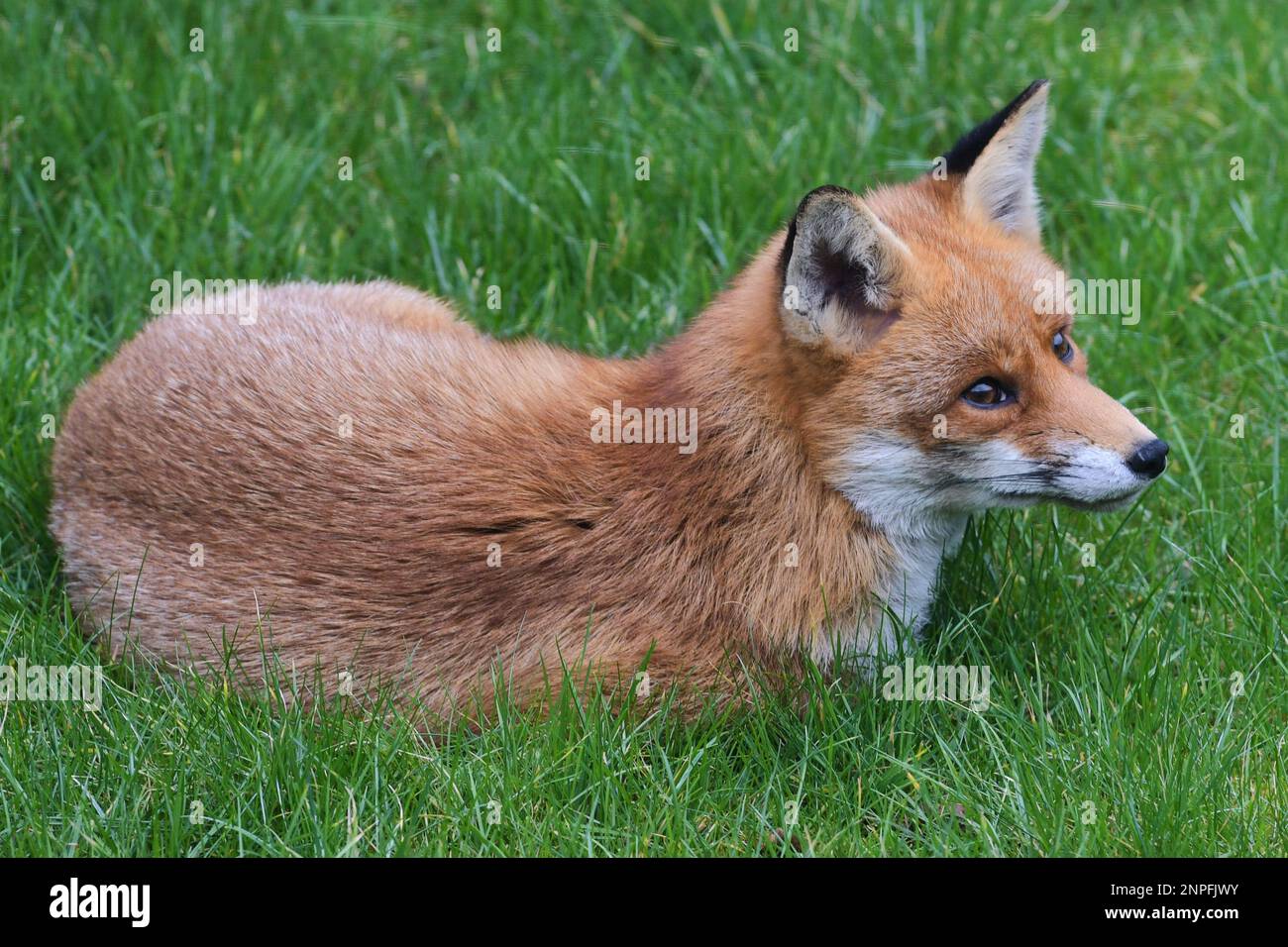 Edinburgh Scotland, UK 26 February 2023. Photographed through glass ...