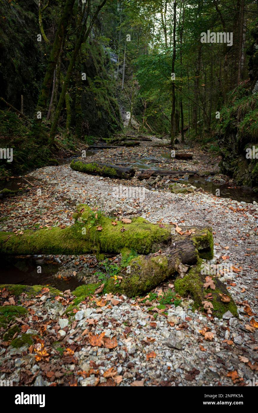 The trail through the beautiful canyon of the Slowacki Raj National ...