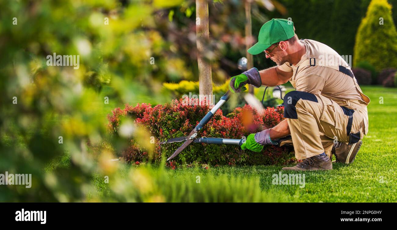 Yard maintenance hi-res stock photography and images - Alamy
