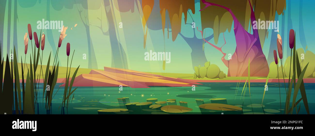 Background with swamp or pond in jungle forest. Wetland landscape with ...