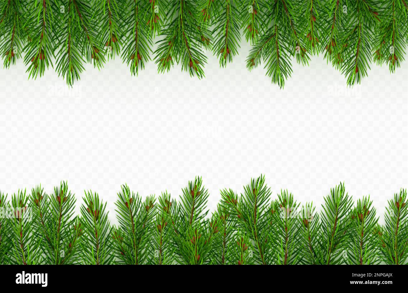 Pine tree branch border realistic vector illustration. Fir twigs with ...