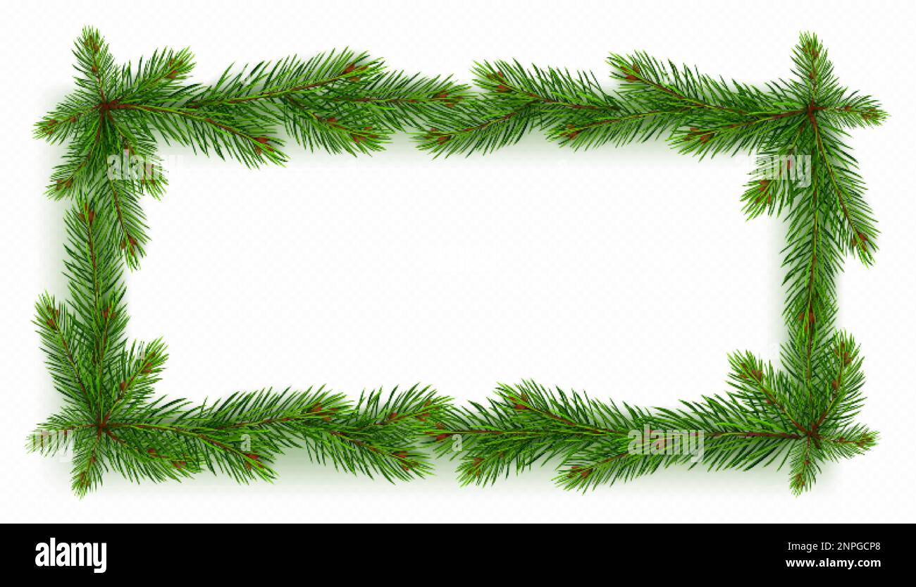 Realistic rectangular pine tree frame in vector. Isolated fir border on ...