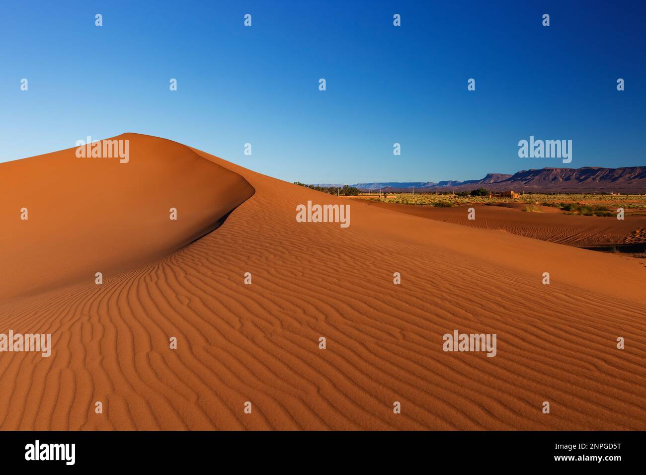 Sand dunes, patern in sand, bluesky, morocco, africa Stock Photo - Alamy