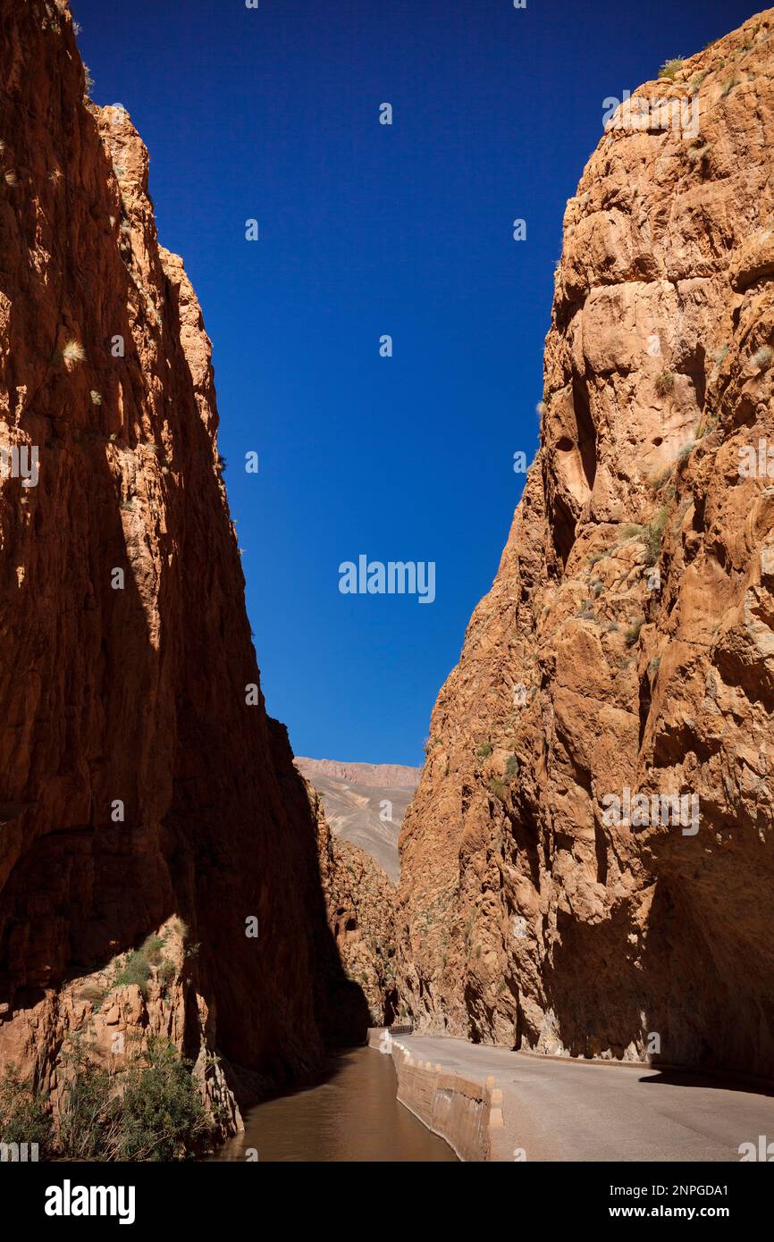 todra gorge, Todgha Gorge Tinerhir, morocco Stock Photo - Alamy