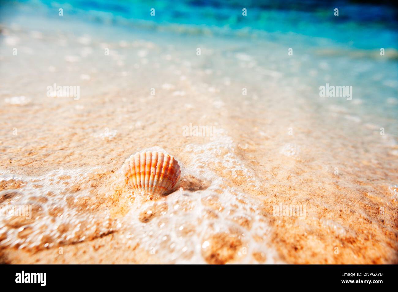 Shell hit hi-res stock photography and images - Alamy