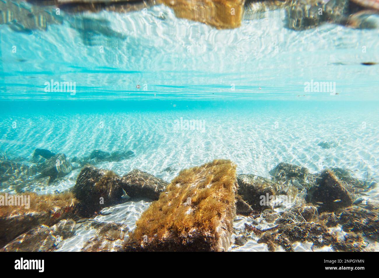 Underwater backdrop with white sand and rocks Stock Photo - Alamy