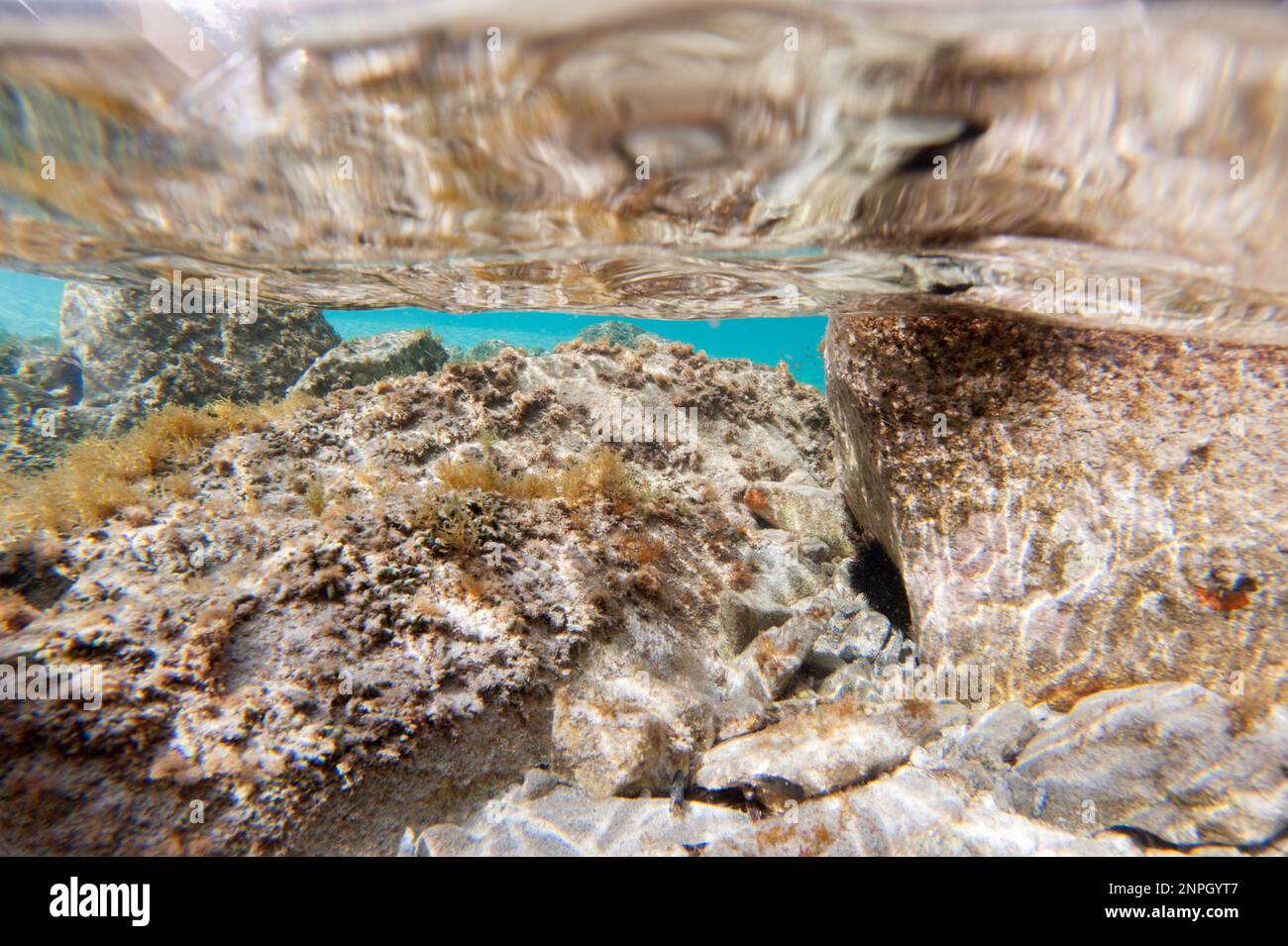 Seabed underwater deep cave hi-res stock photography and images - Alamy