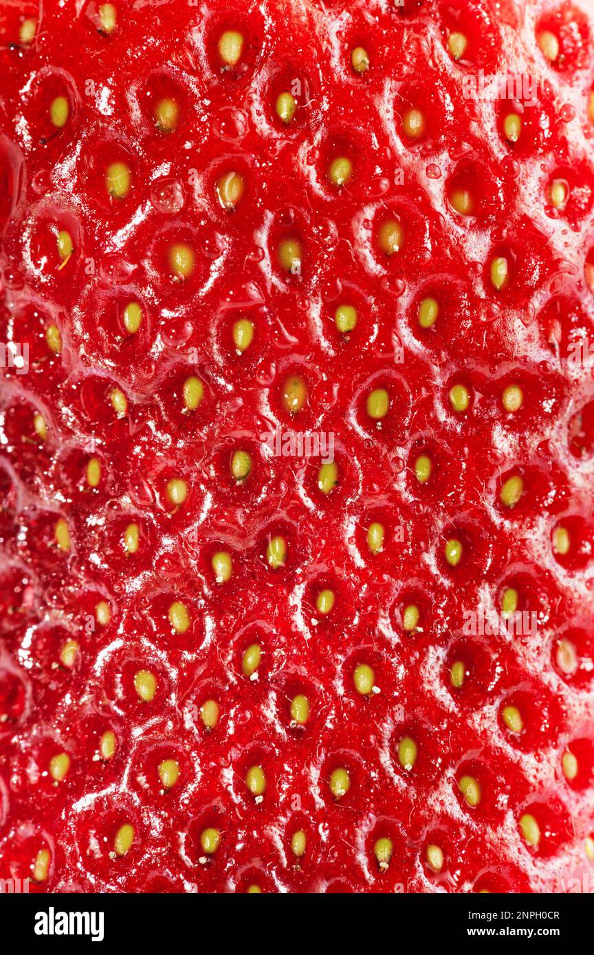 Macro close up of Strawberry surface, background texture Stock Photo ...