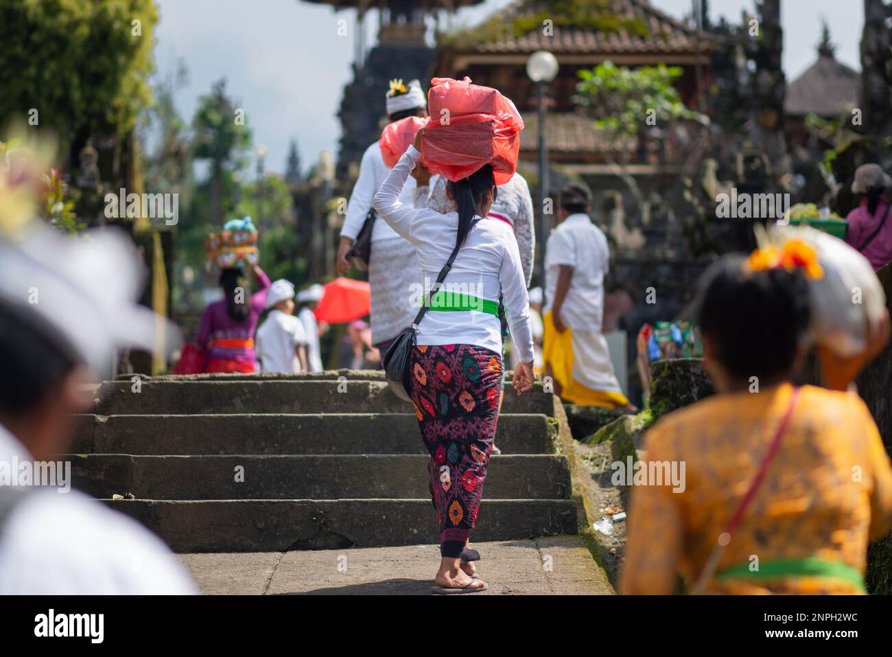 Balinese woman carries offerings to the temple. Back view. Close up ...