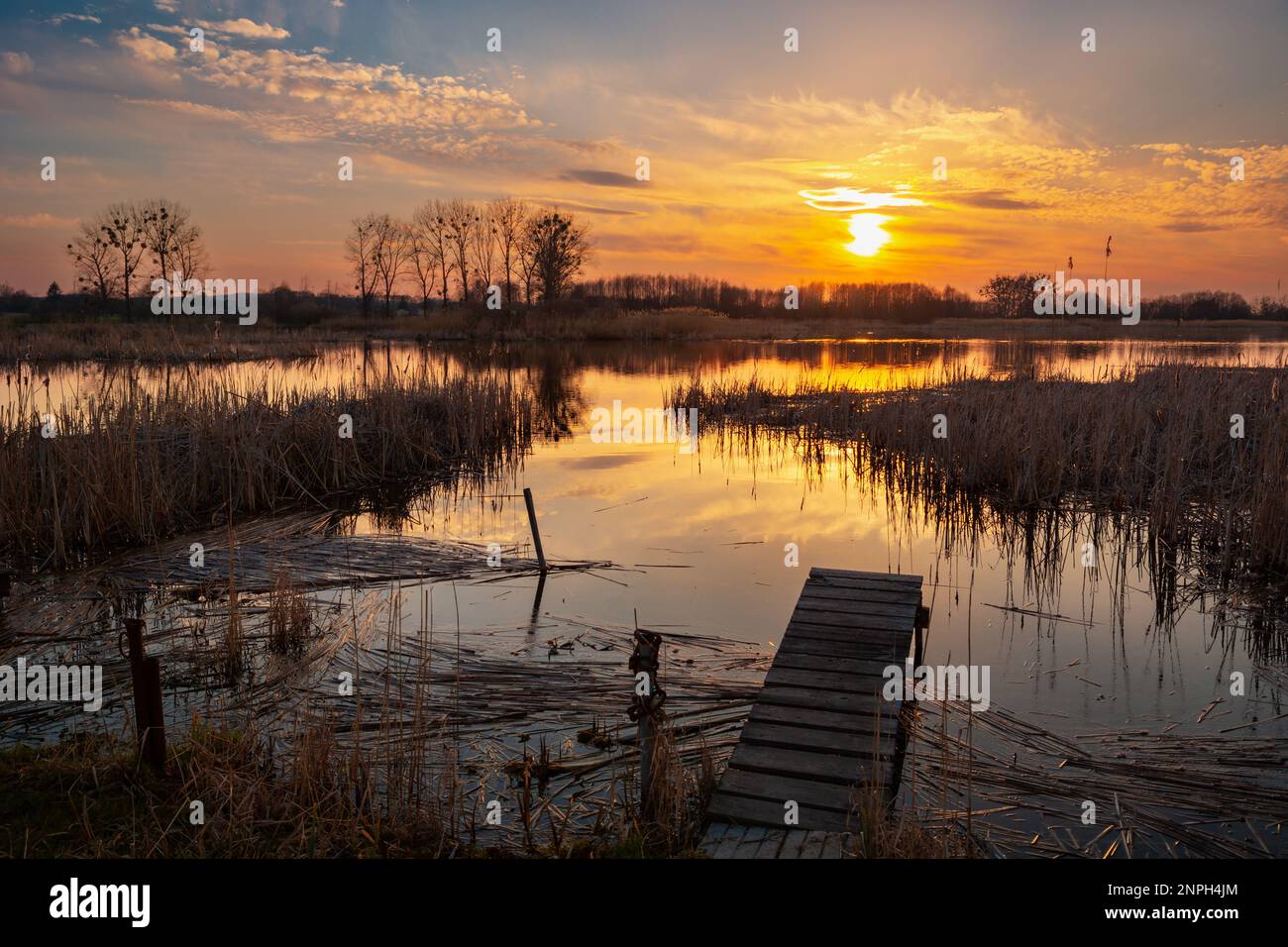 Small grass platform hi-res stock photography and images - Alamy