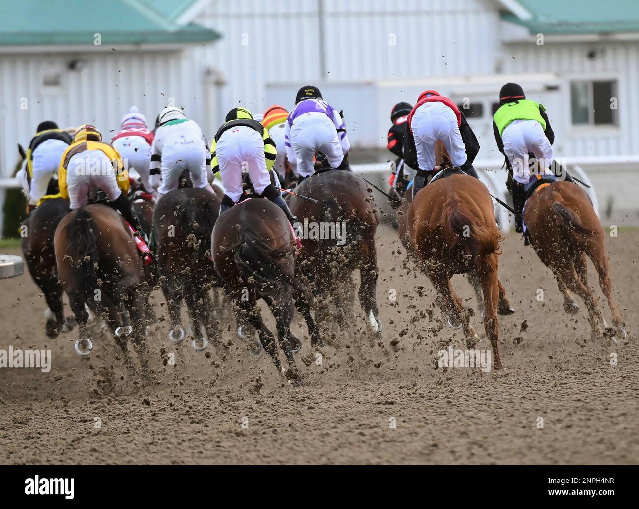 Horses kick up dirt through the first corner during the Queen's Plate ...