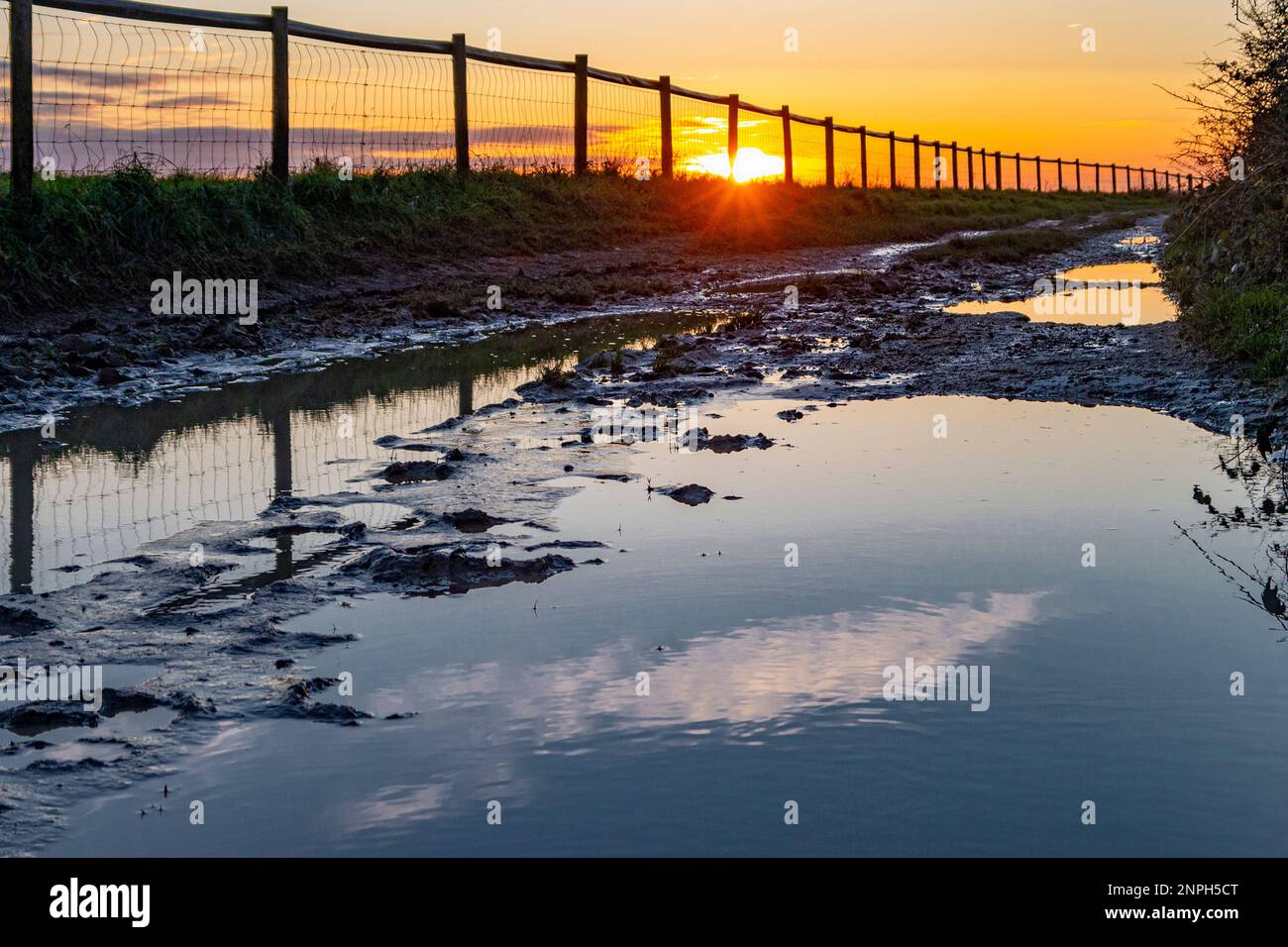 Rain sodden footpath / bridleway / track near to Cissbury Ring in the ...