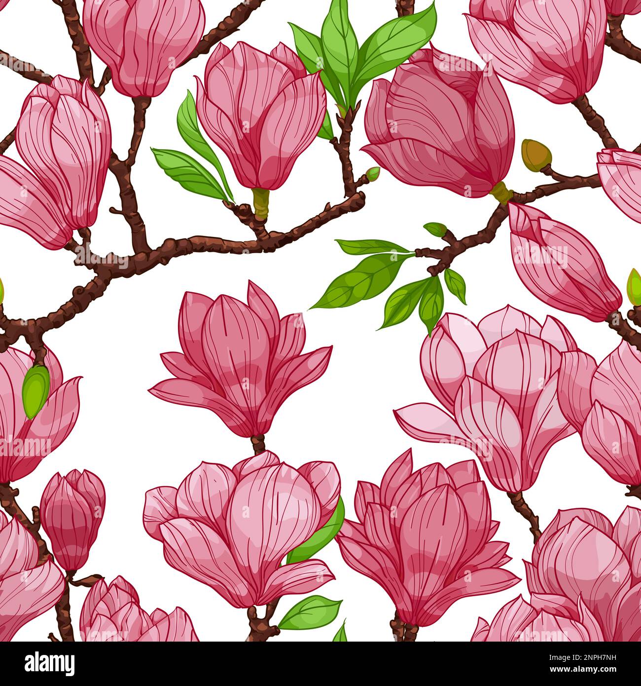 pink magnolia flowers, seamless pattern. hand drawn illustration Stock ...