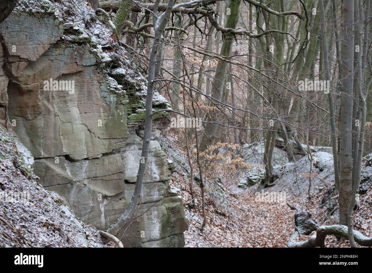 Rock path in a Gorge in Winter Stock Photo - Alamy