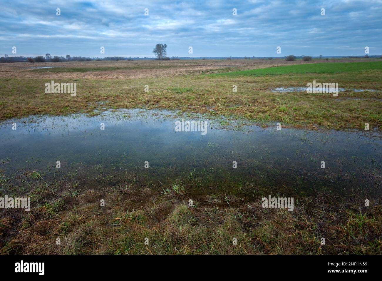 Cloud reflecting in puddle hi-res stock photography and images - Alamy