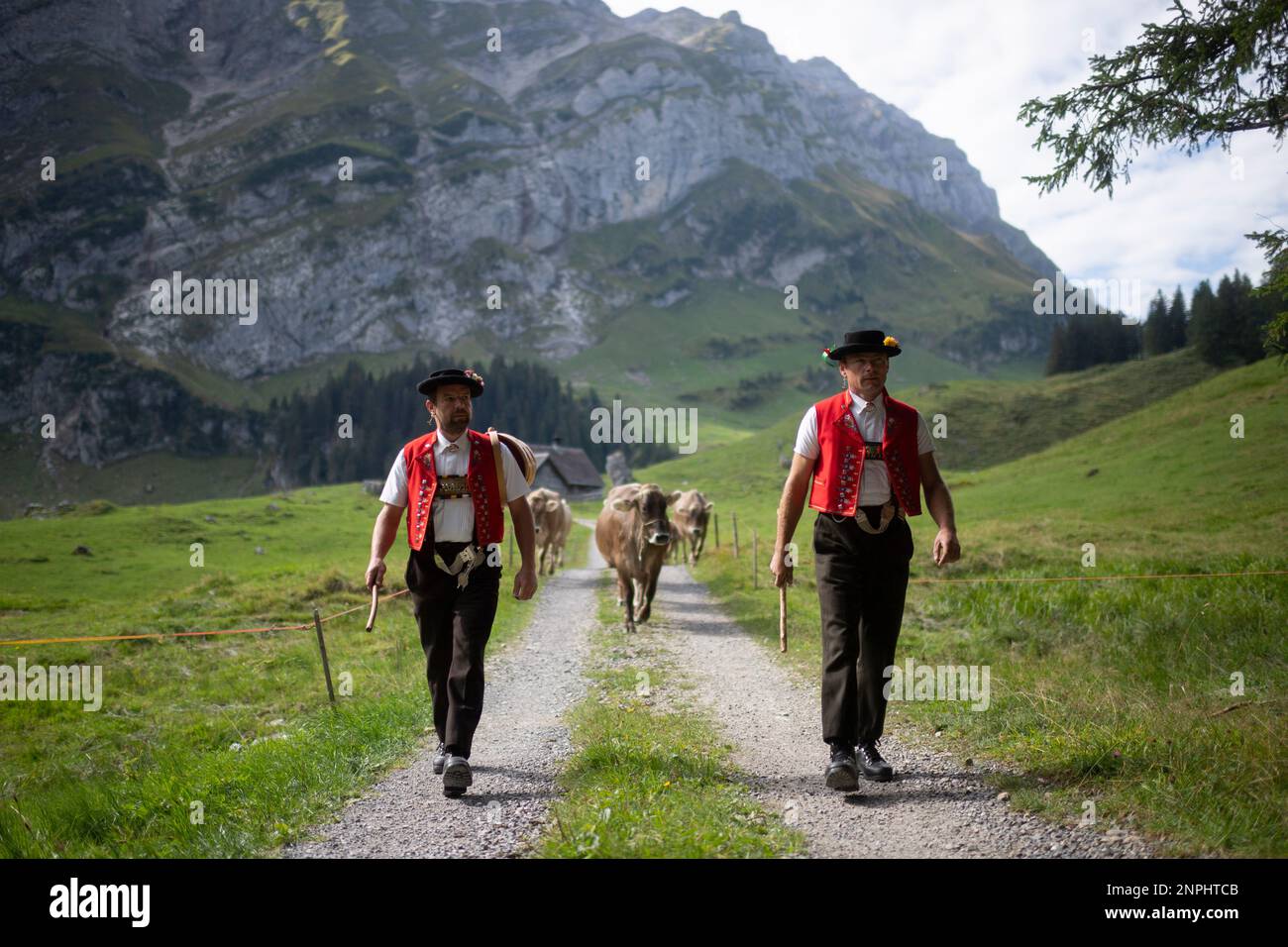Alpine dairymen on the downhill run of the Faessler family from the ...