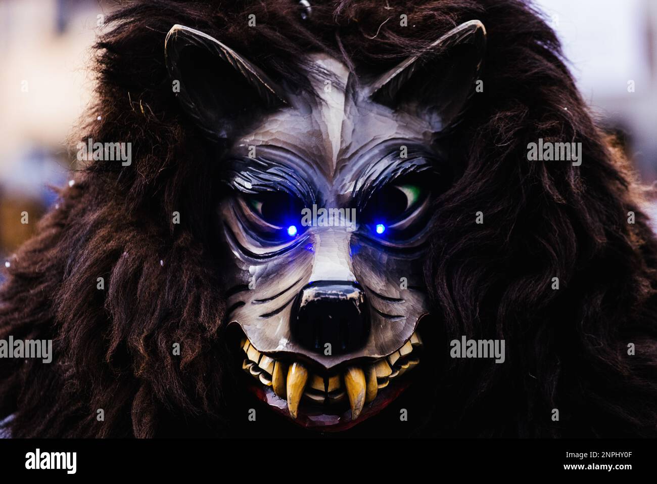 Sulzburg, Germany. 26th Feb, 2023. A jester with a wolf mask in front ...