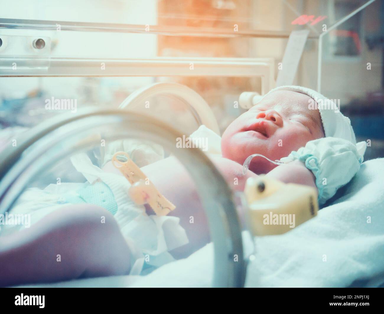 new born baby infant sleep in the incubator at hospital Stock Photo - Alamy